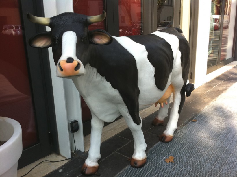 Roma | Tragedia a Testaccio! Arriva la mucca Roadhouse Grill