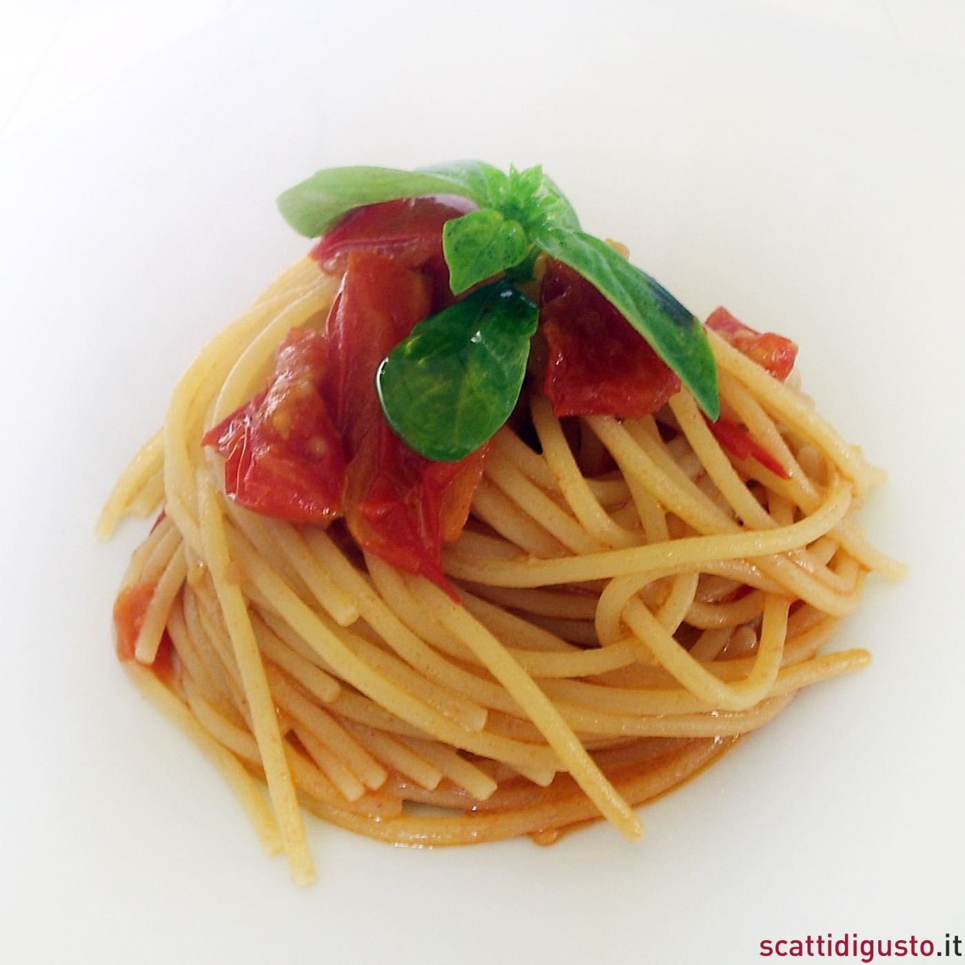 Masterchef. Gli spaghetti al pomodoro perfetti di Alberico