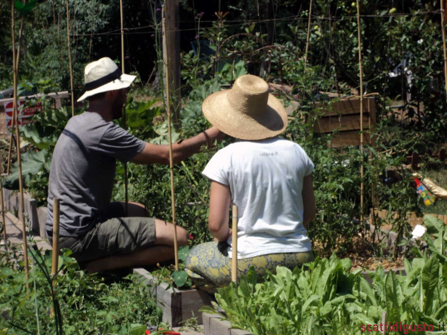 Milano. 10 ristorant con giardino per mangiare all'aperto