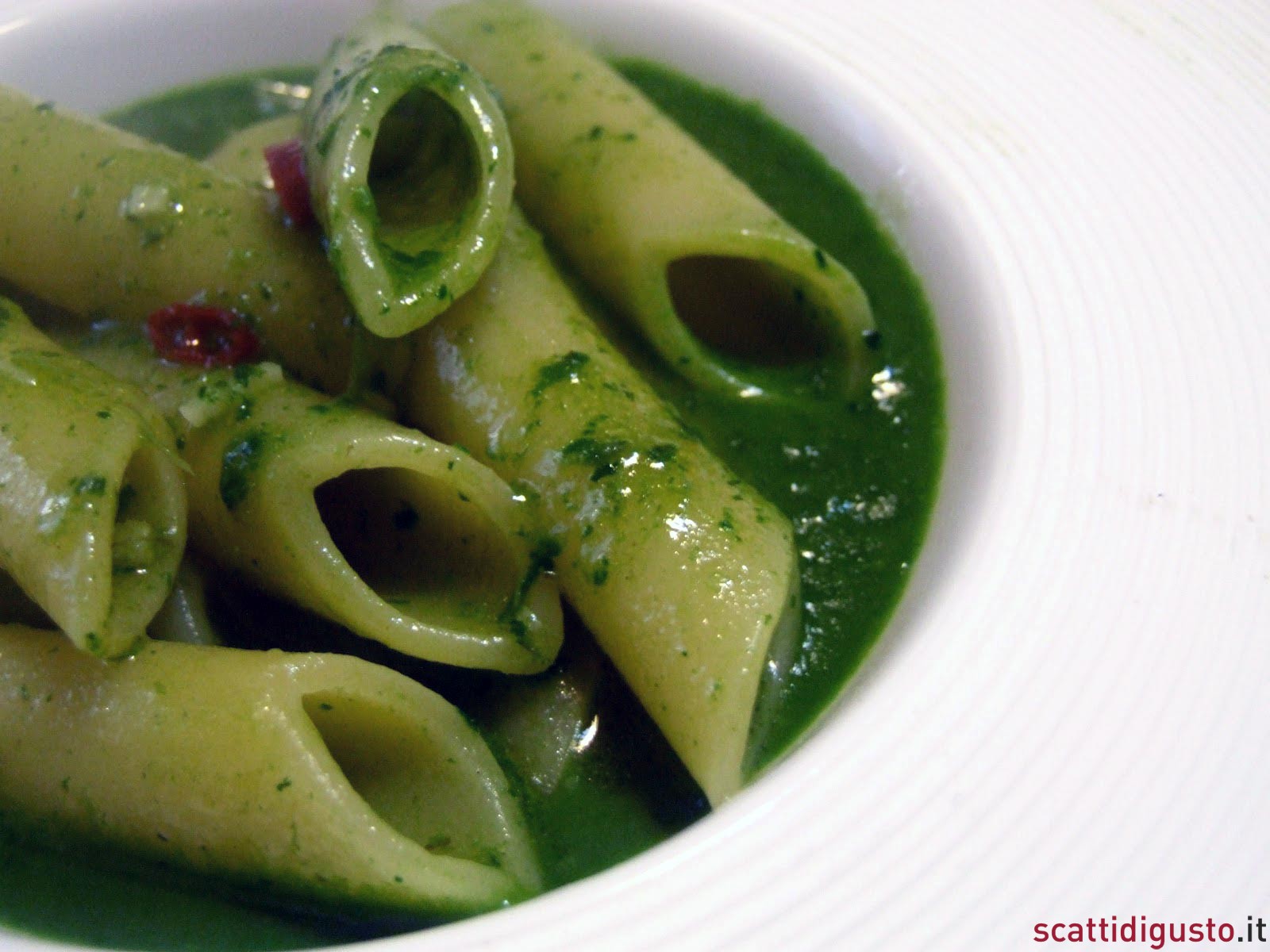 Erbe spontanee. La ricetta della pasta con salsa di senape selvatica