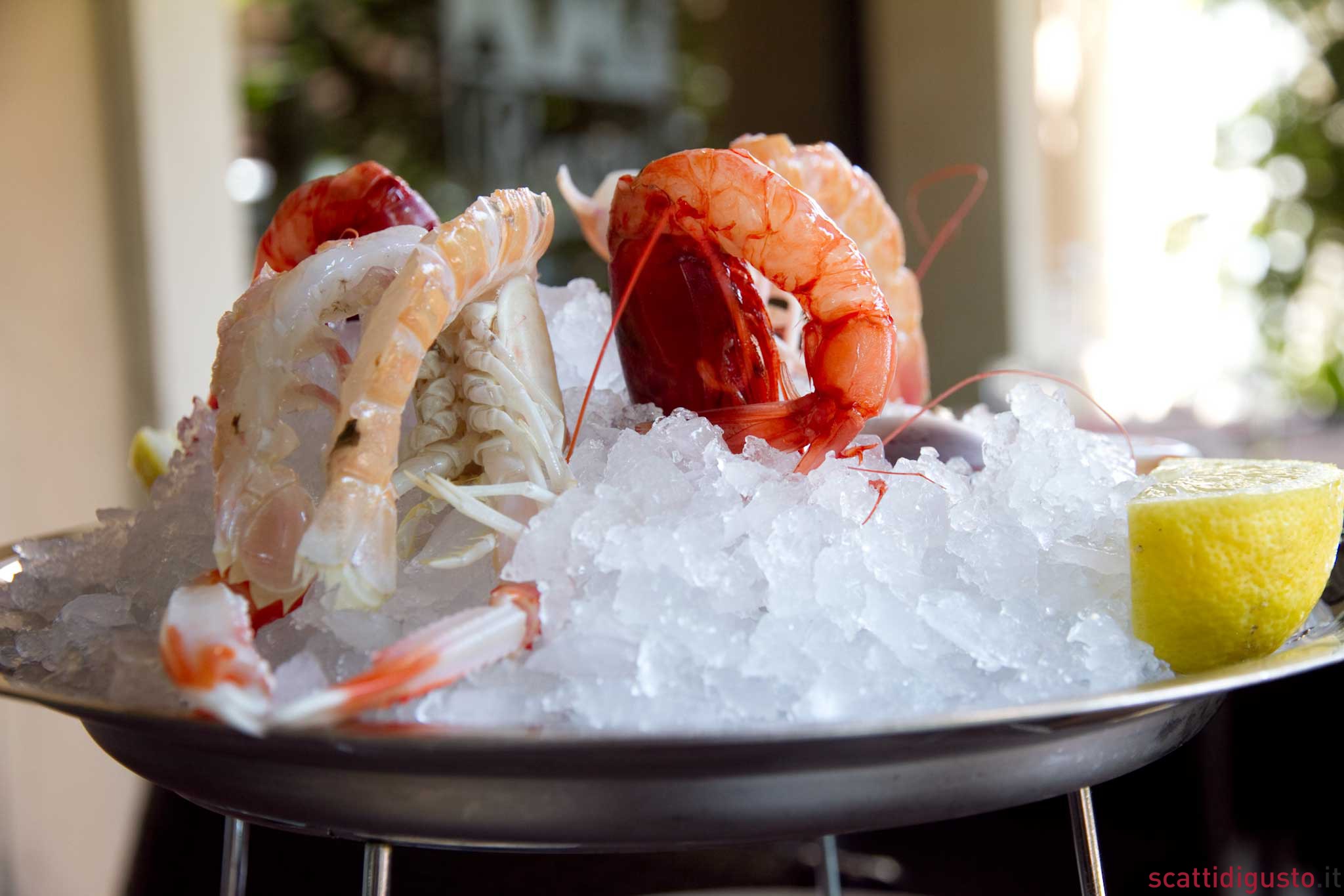 Beach food, ovvero i 10 migliori cibi da spiaggia al 100% italiani