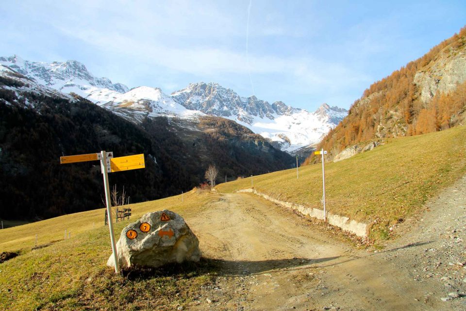 La ricetta perfetta della zuppa alla valpellinzese o seupa à la ...