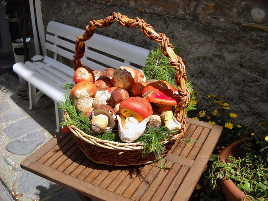 20 ristoranti dove mangiare i funghi dal nord al sud dell'Italia