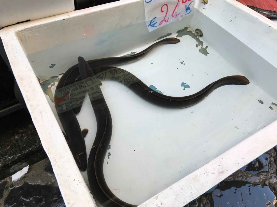 Come comprare il pesce fresco e riconoscere una buona pescheria