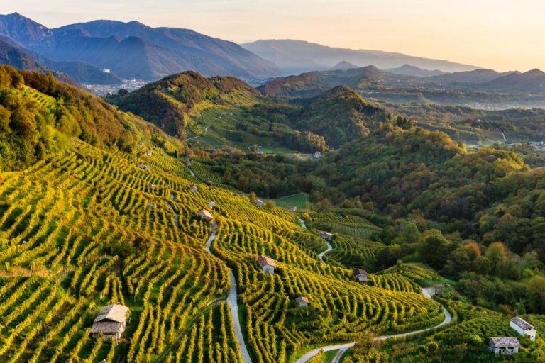 Prosecco patrimonio Unesco con le colline di Conegliano e Valdobbiadene