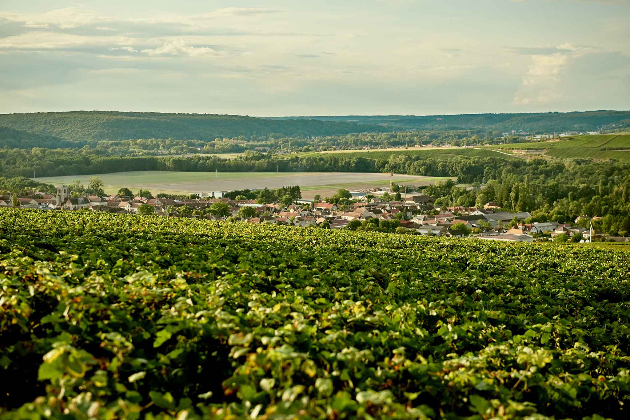 Comte de Montaigne, lo Champagne che prima non c’era