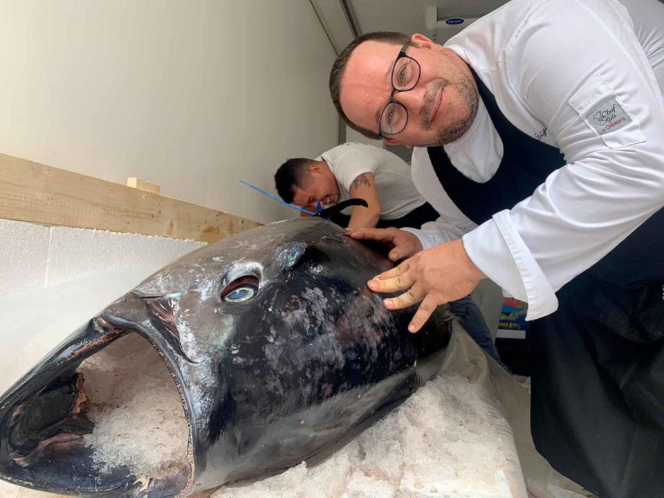 Tonno rosso e tonno a pinne gialle: la guida per scegliere il migliore