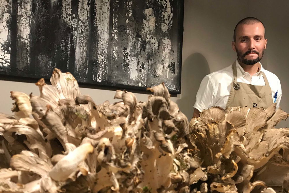 Wild food. Cos'è e dove praticare foraging, cucina selvatica e delivery