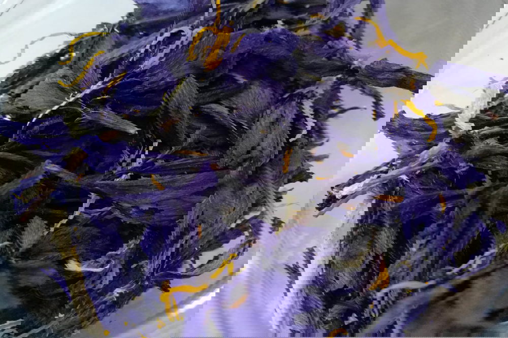 Zafferano. Prezzo, ricette, coltivazione e 10 cose da sapere