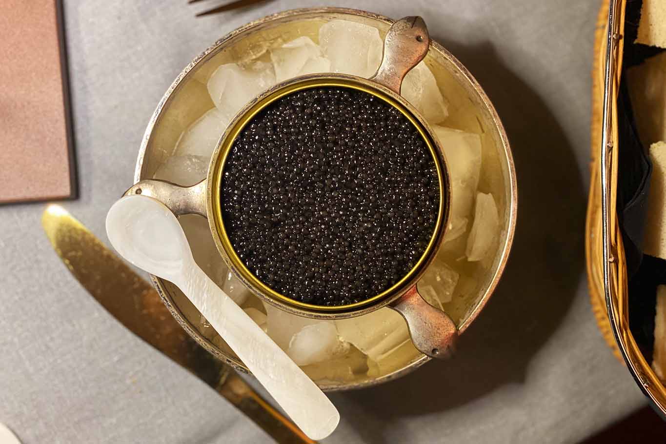 Caviale italiano Bioluga: quanto costano le uova di storione del Paradiso