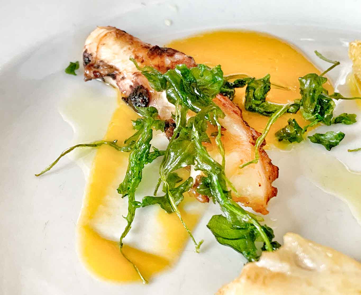 L’Angolino da Filippo, ristorante di pesce tra i migliori della costa ...