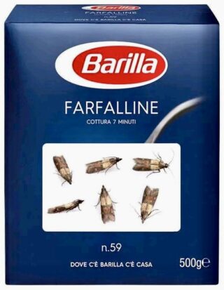 Barilla, insetti nella pasta. Video e storia di una surreale polemica