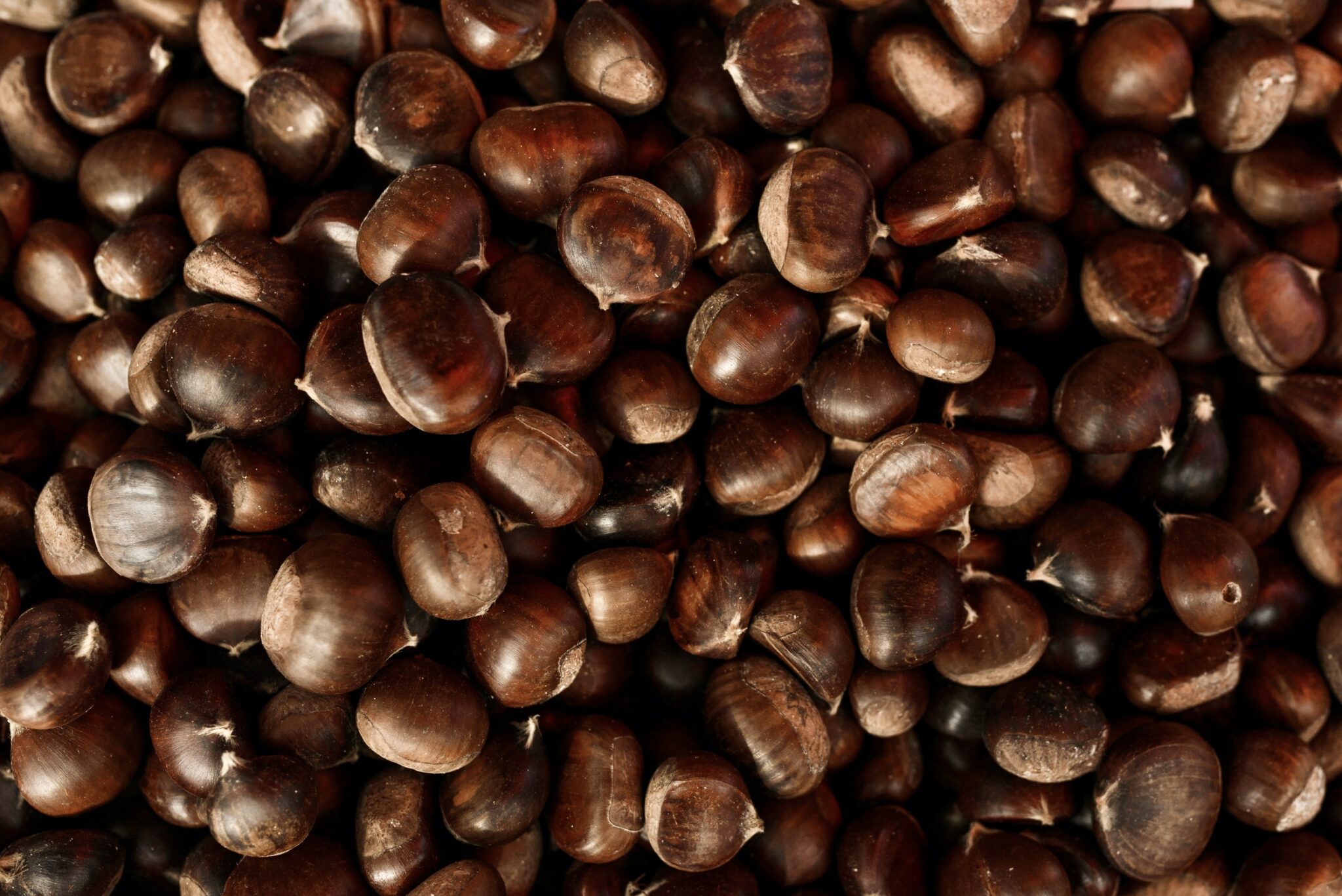 Come cucinare le castagne: forno, friggitrice ad aria, padella, bollite