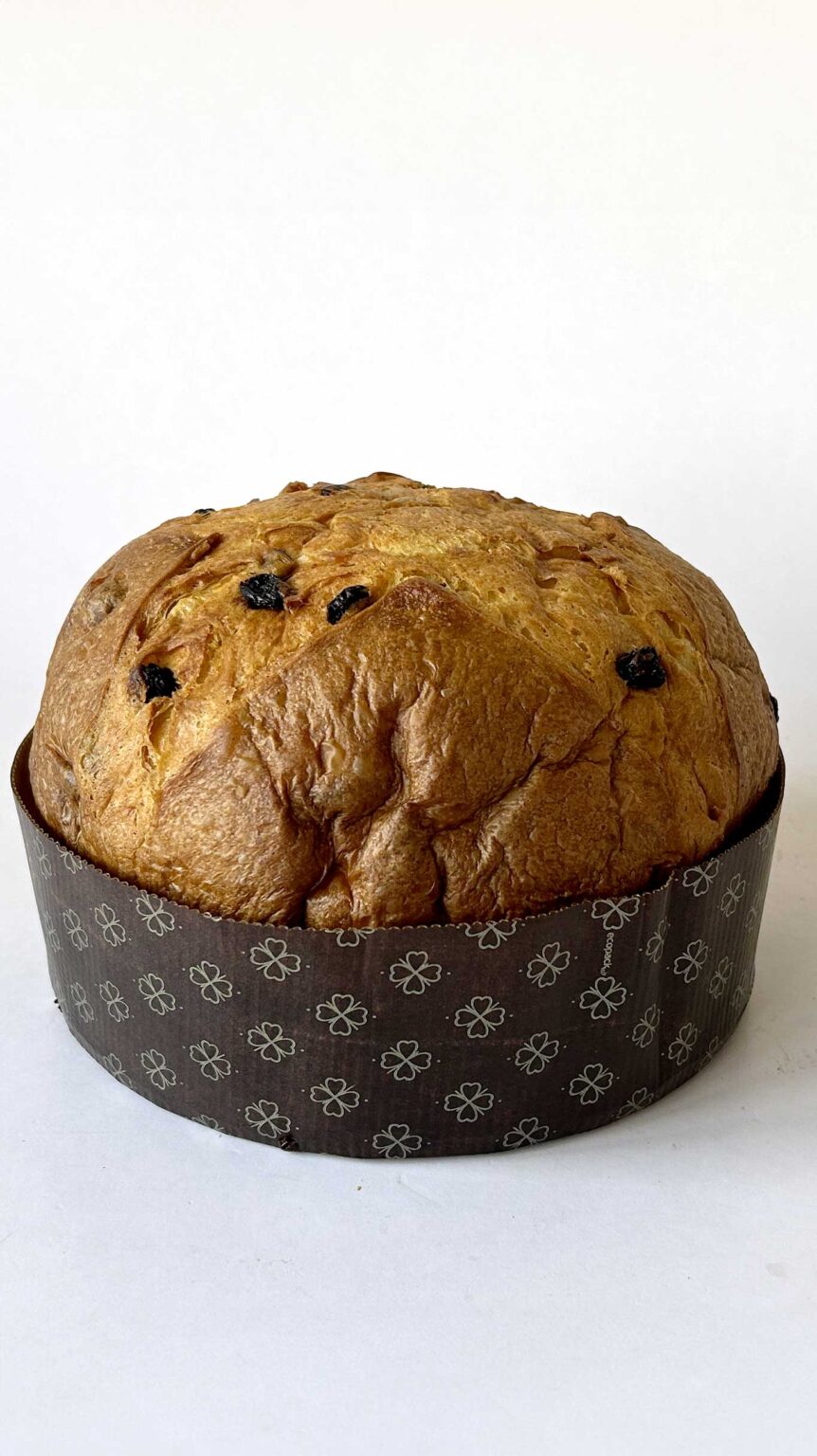 Panettoni artigianali e prezzi: i migliori 100 costano da 25 a 150