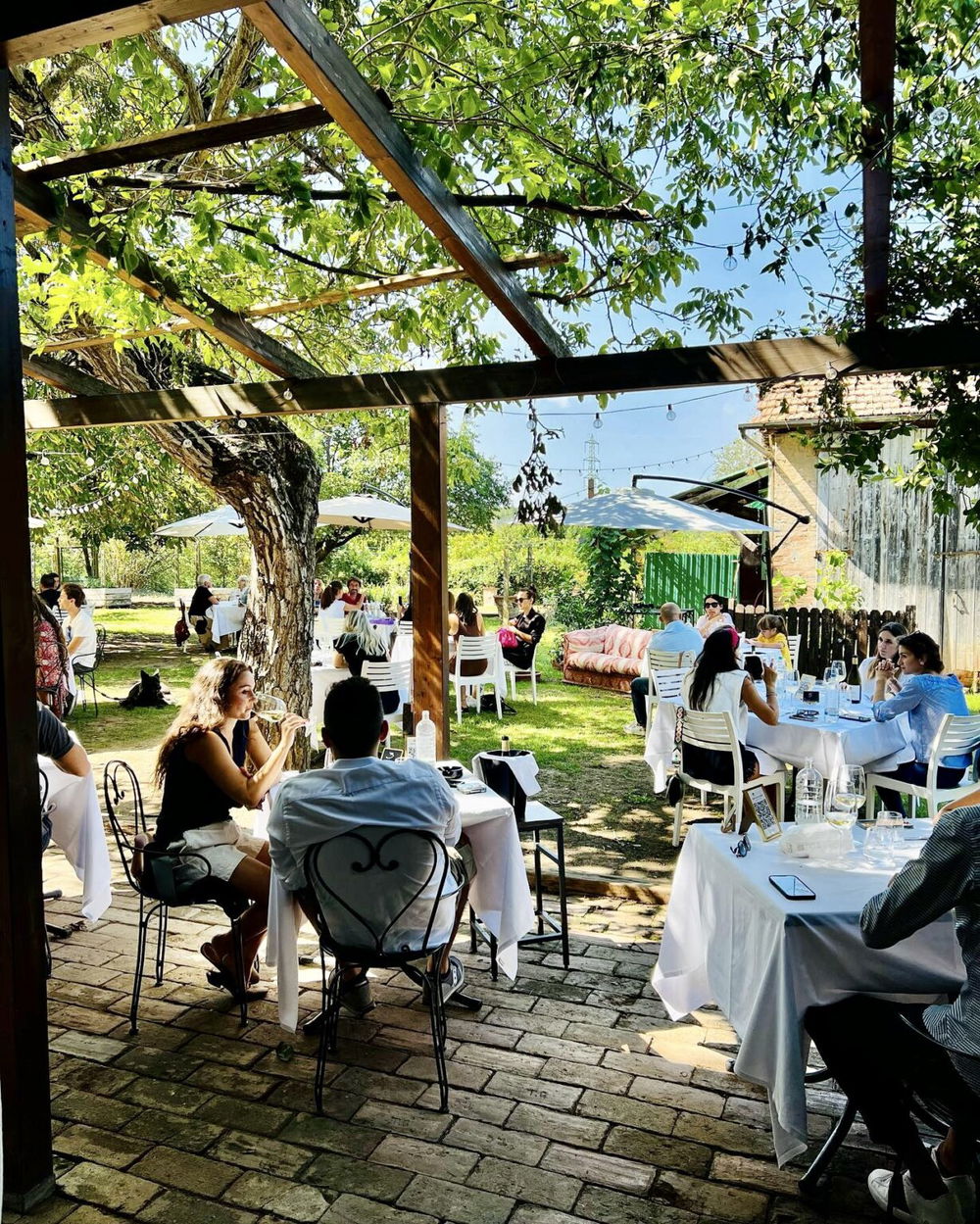 15 trattorie fuori Bologna per mangiare di gusto spendendo il giusto