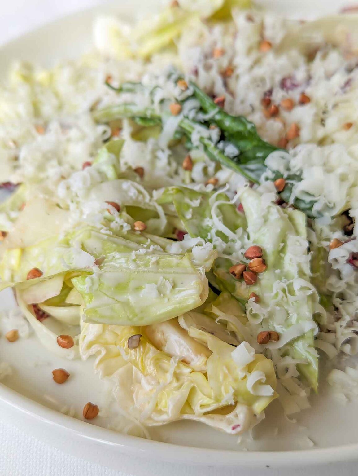 Erba Brusca a Milano, recensione del ristorante con menu a 49